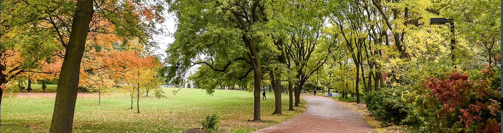 First Year - Fall 2025 & Winter 2026 First Year Course Selection | BA Academic Advising